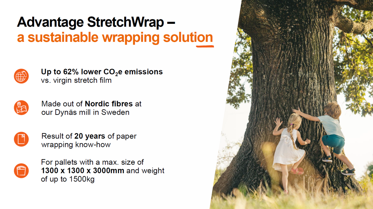 Paper Wrapper & Wrap | AURORA